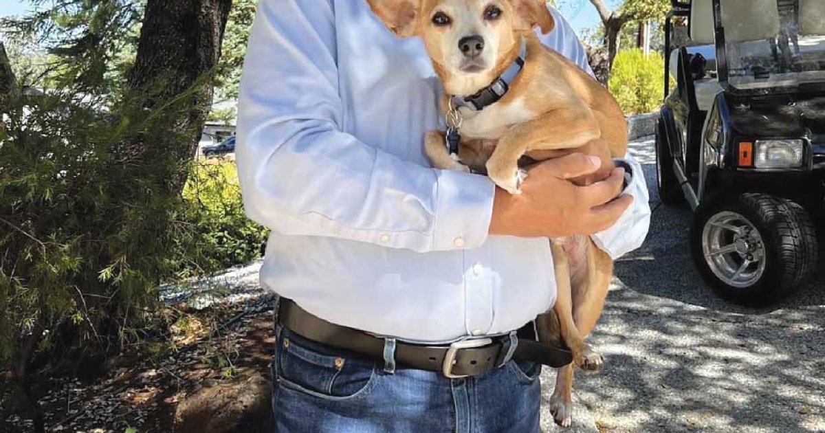 Answering Students’ Call—Again | The SCEA